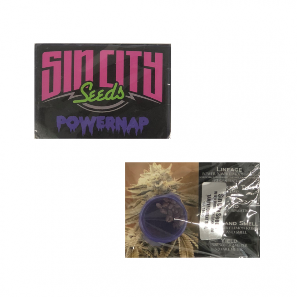 Sin City Marijuana Seeds – Powernap (7 seeds each pack): Bud Man Orange ...