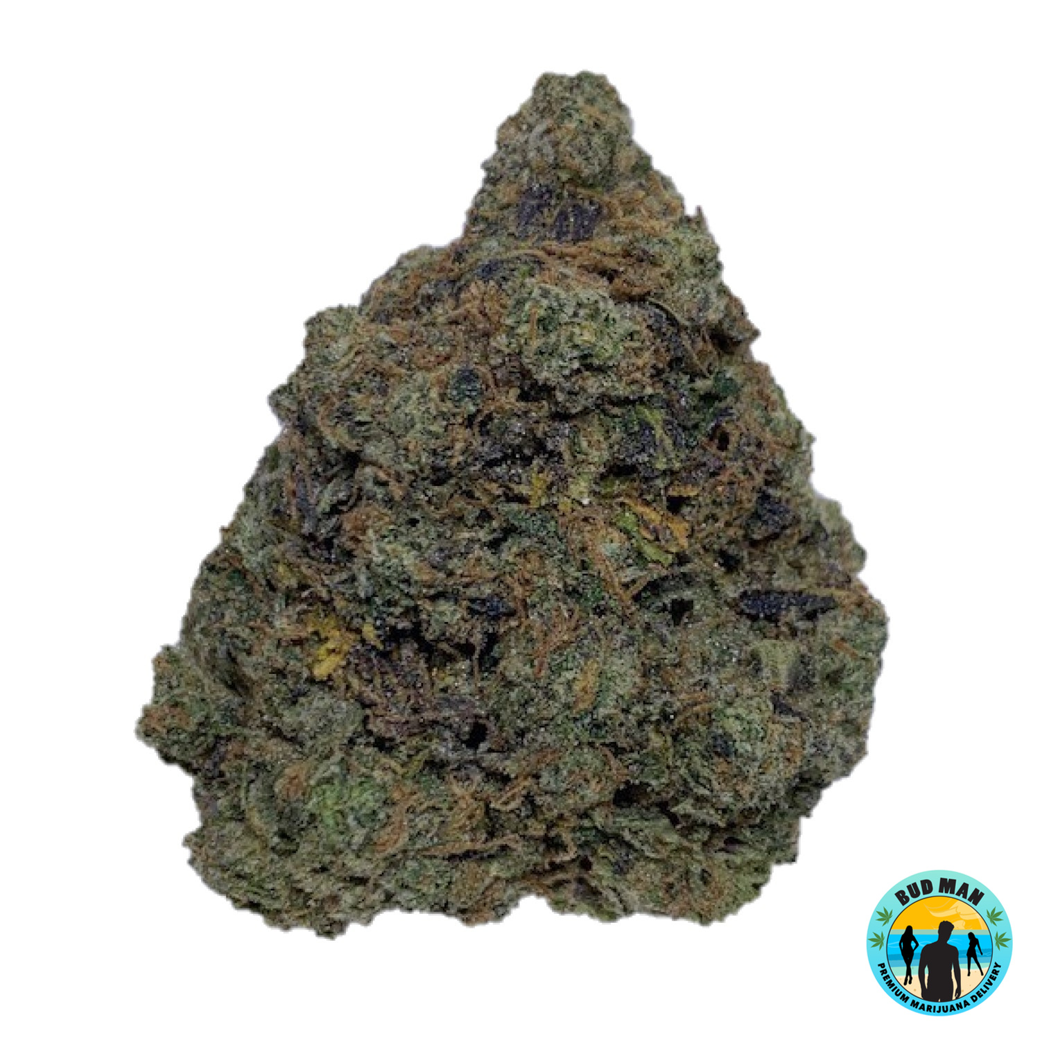 Super Silver Haze | Bud Man Orange County Dispensary