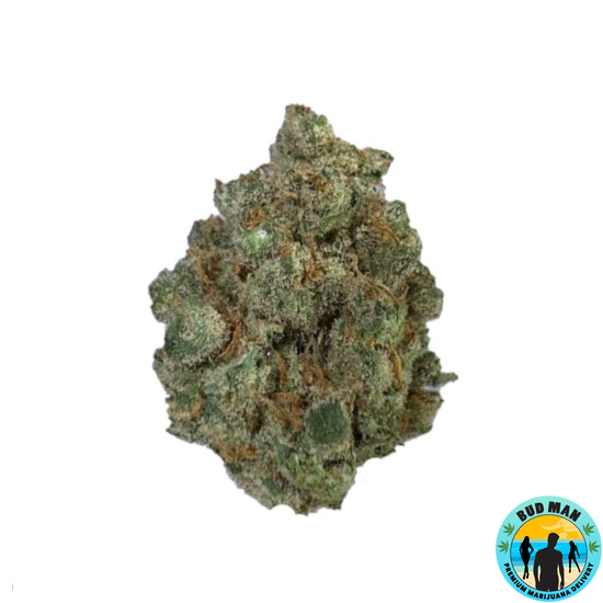 Candy Jack | Bud Man Orange County