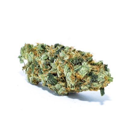 Hybrid | Bud Man OC