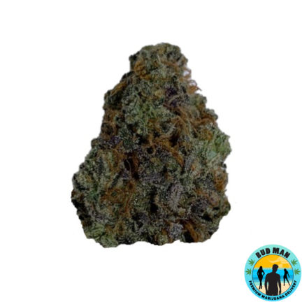 Hybrid Top Shelf | Bud Man Orange County