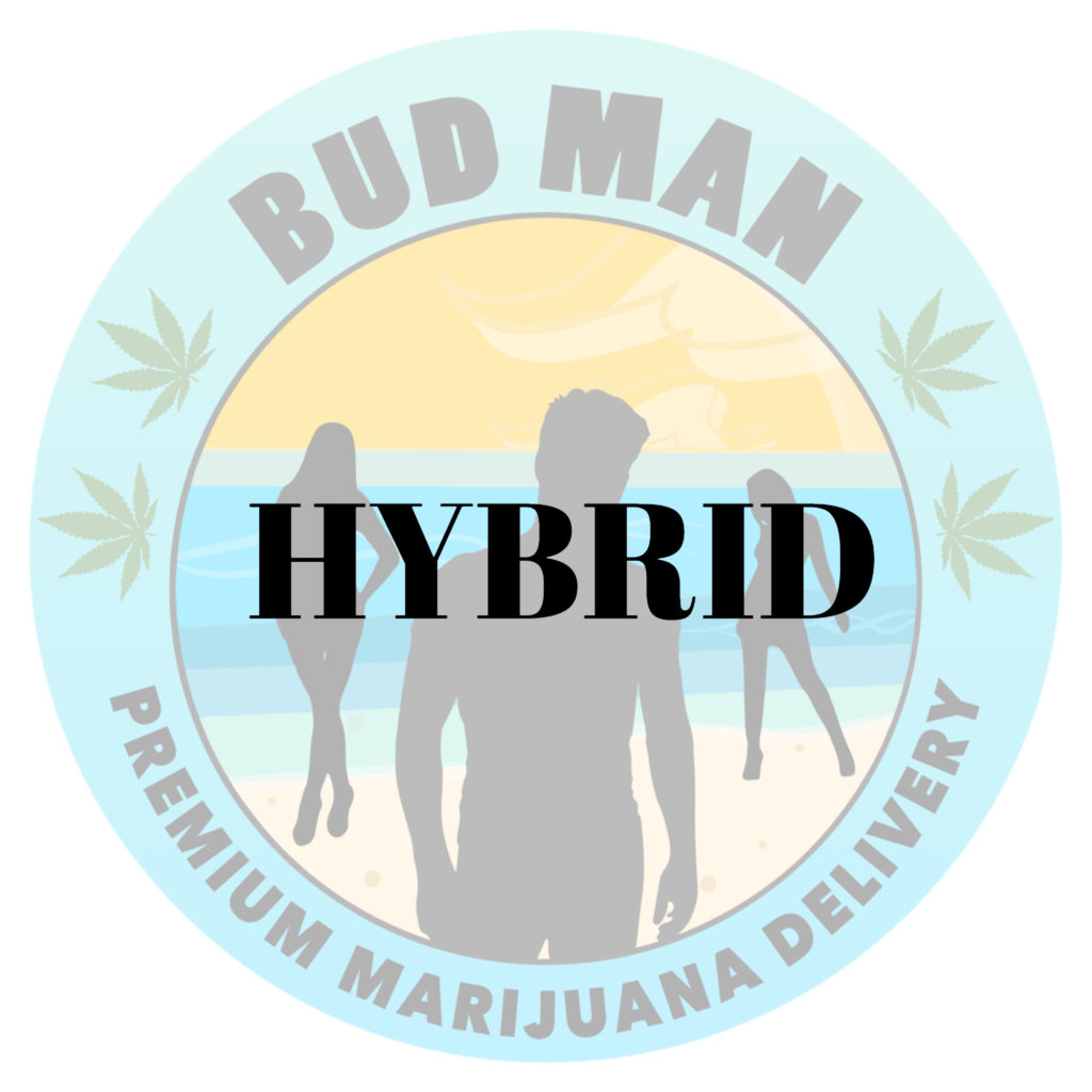 Marijuana Weed Flower Delivery | Bud Man Orange County Dispensary