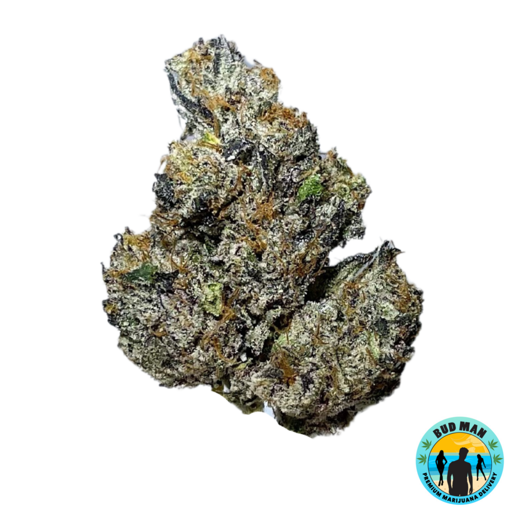 Papaya Dream (34.4% THC – premium): Bud Man Orange County Dispensary ...
