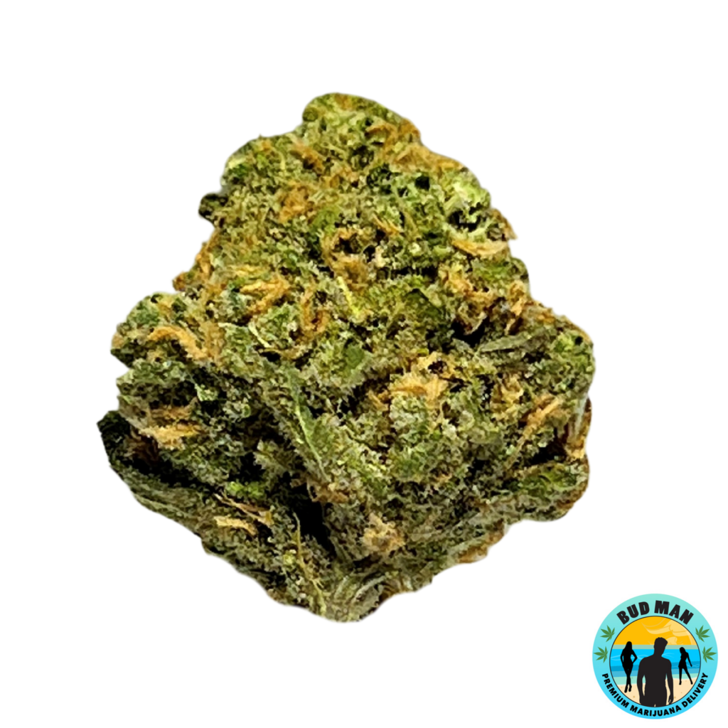 Blue Dream: Bud Man Orange County Dispensary Delivery