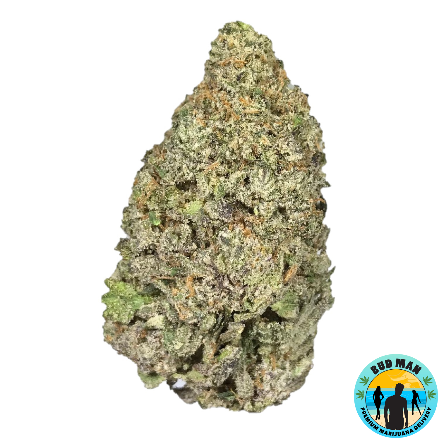 Animal Pie | Bud Man Orange County