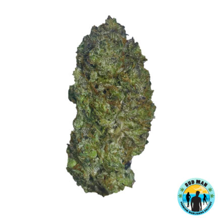 Grease Monkey | Bud Man Orange County Dispensary