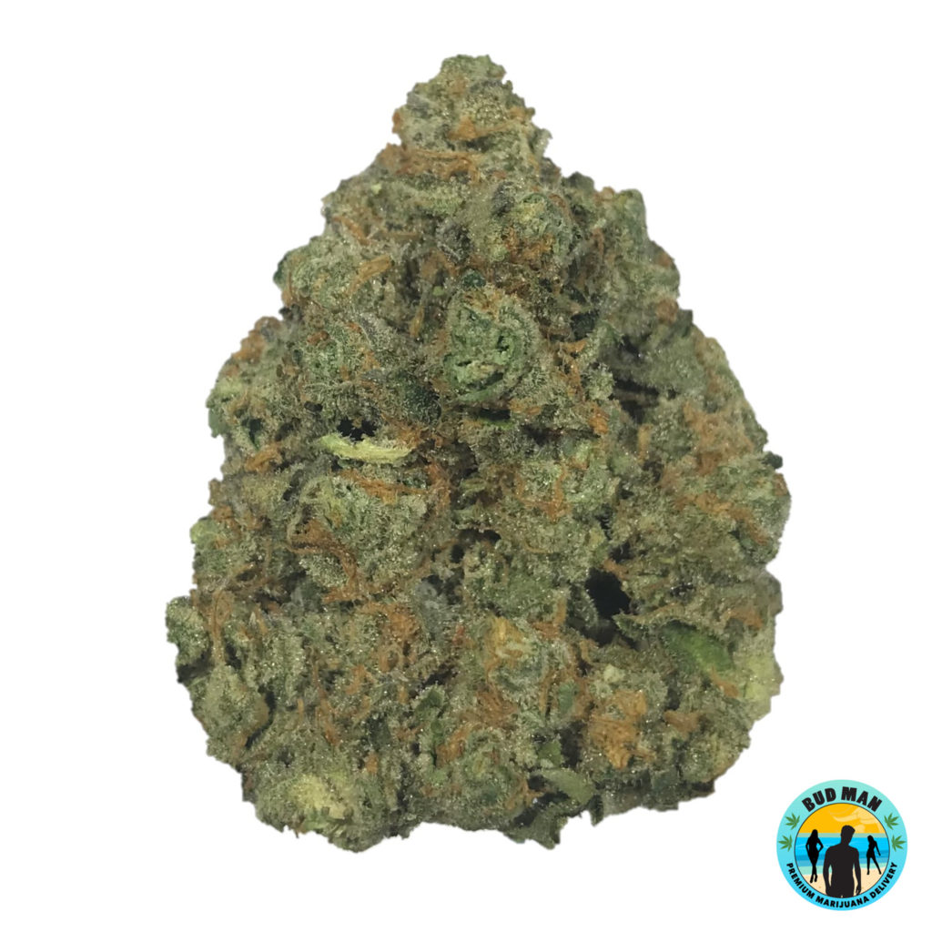Gary Payton (33.0% THC – premium): Bud Man Orange County Dispensary ...