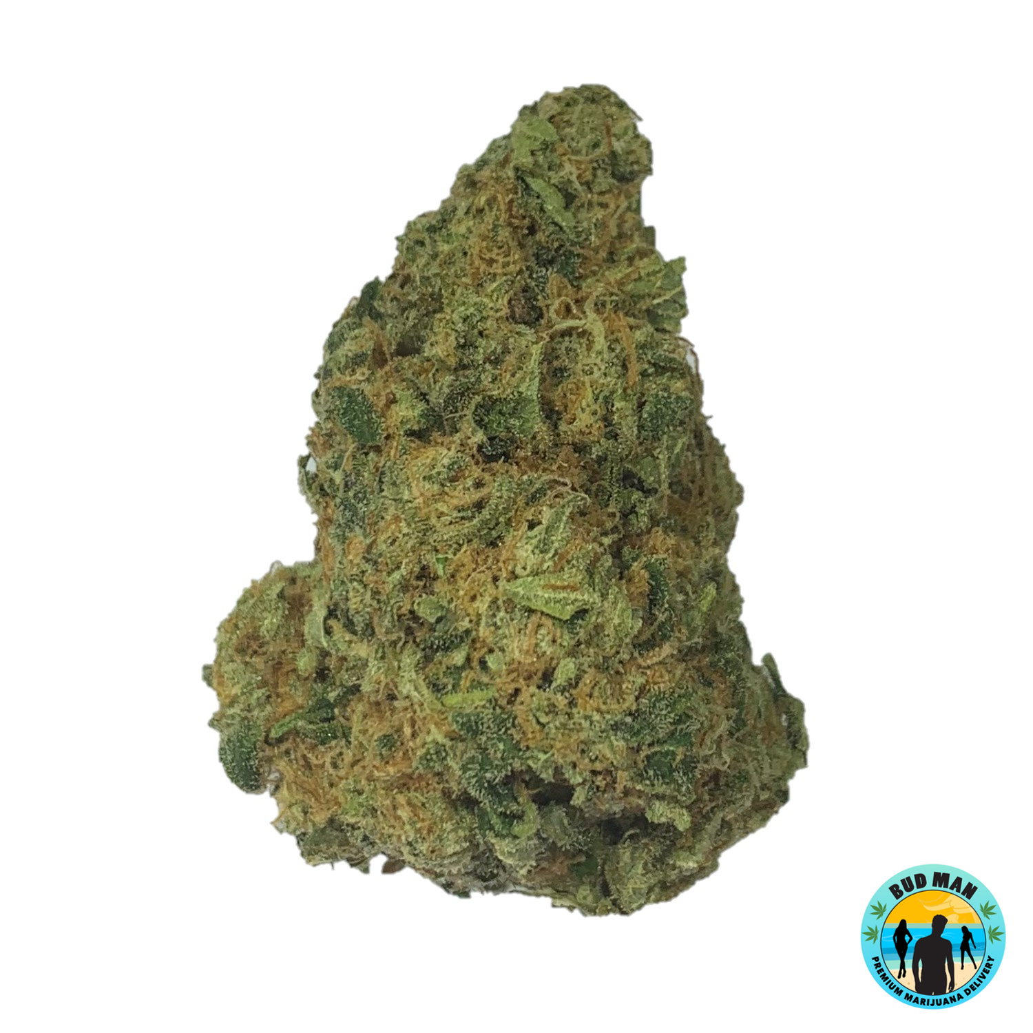 Alien Girl | Bud Man Orange County Dispensary