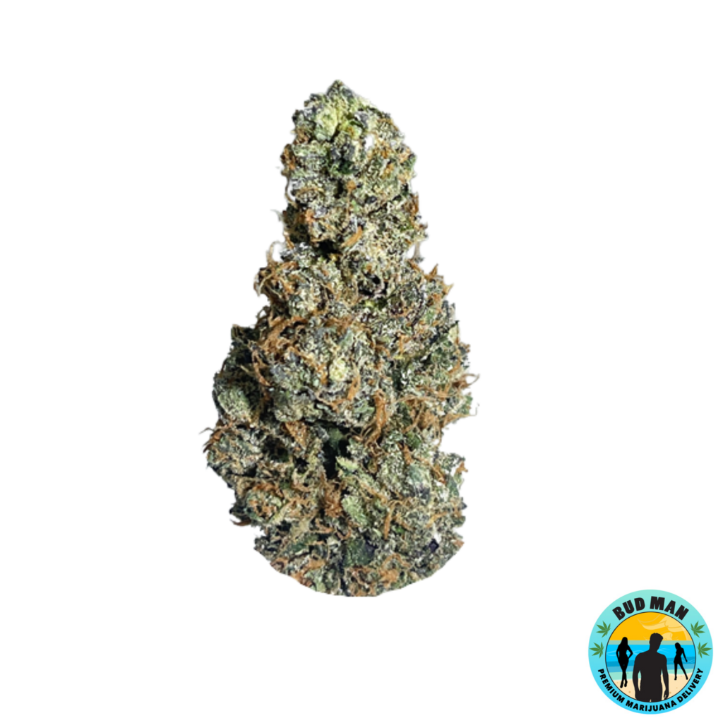 Martian Candy: Bud Man Orange County Dispensary Delivery