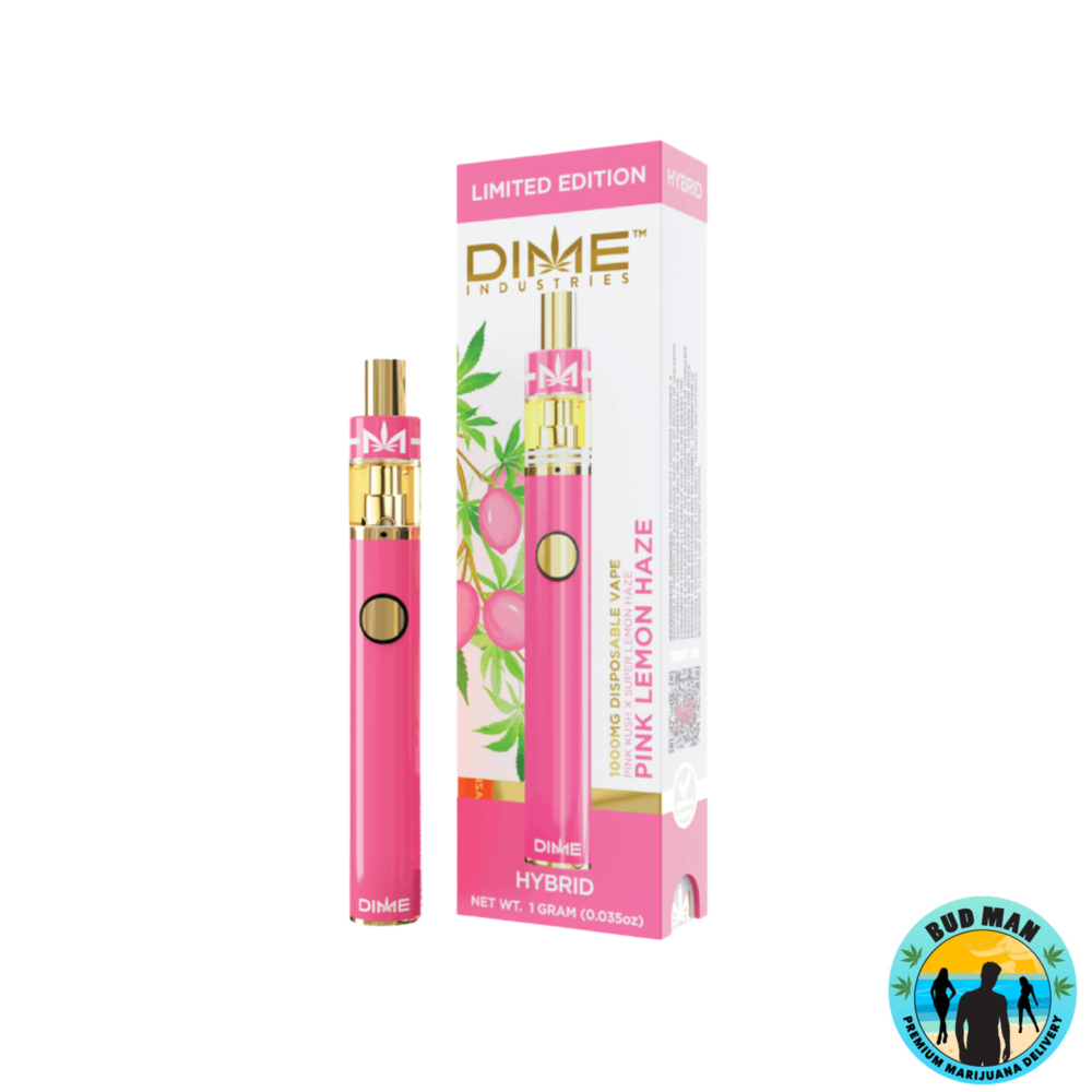 DIME Disposable Vape Pen and Cartridge Set (1 gram – 1 option) | Bud ...