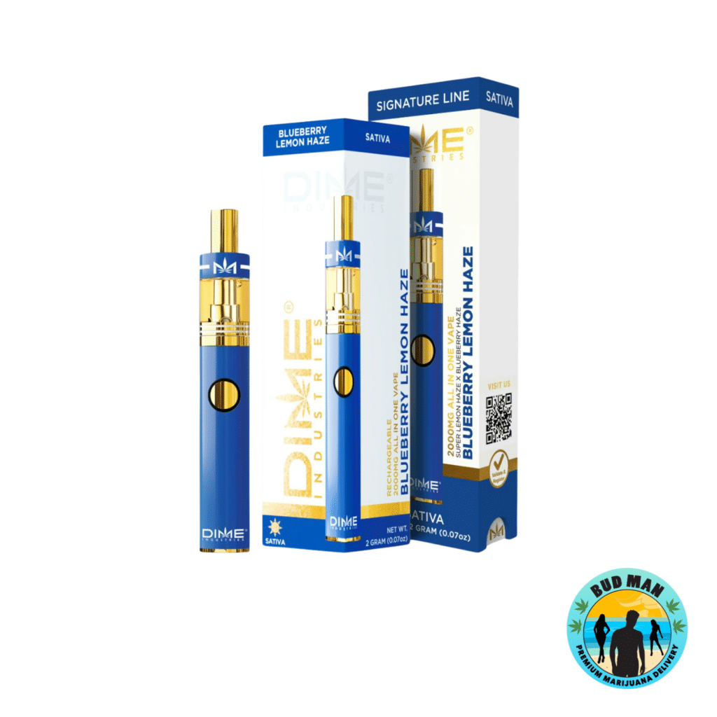 DIME All-In-One Disposable (2 grams – 15 options): Bud Man Orange ...